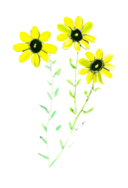 Precios - Clipping Magic